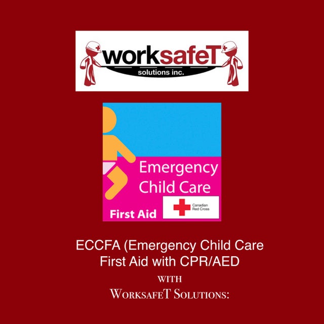 WorkSafeT Solutions Inc